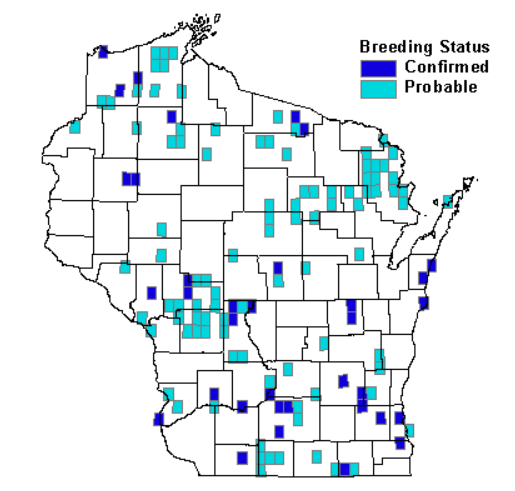 Species Survey Strategy - Common Nighthawk - Wisconsin Breeding Bird Atlas