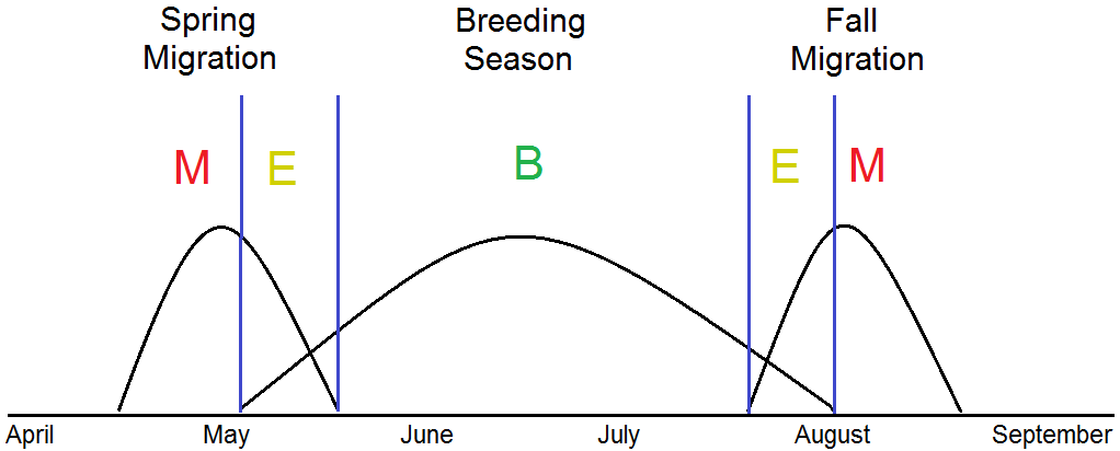 Atlas Data Entry 301: Understanding Breeding Codes & Timing - Wisconsin ...