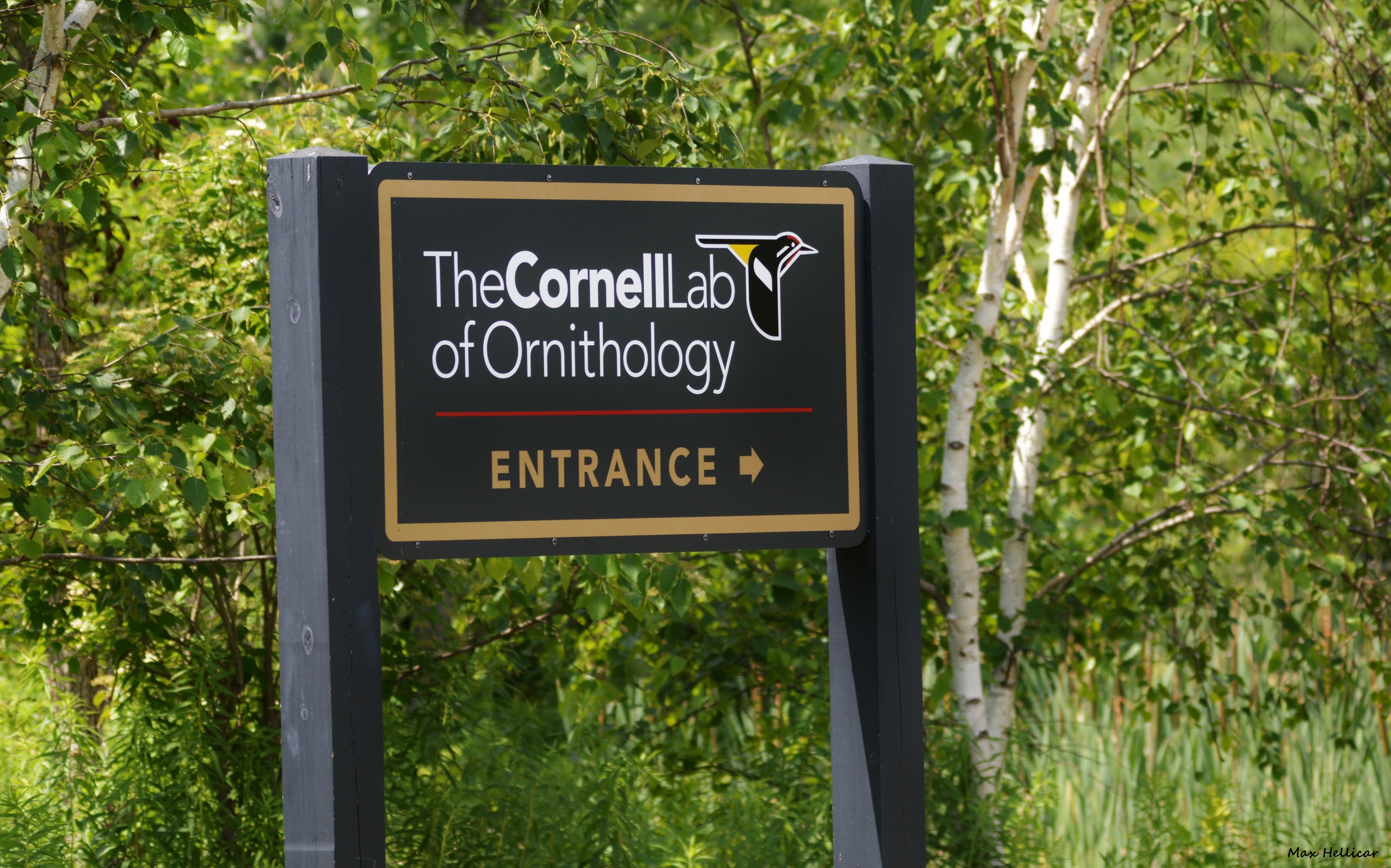 FAQ about Cornell University - eBird India