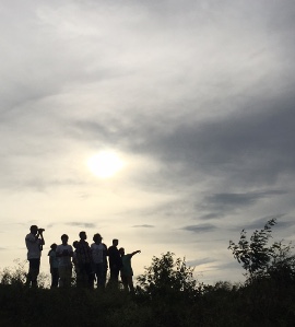 What's on in September - eBird India