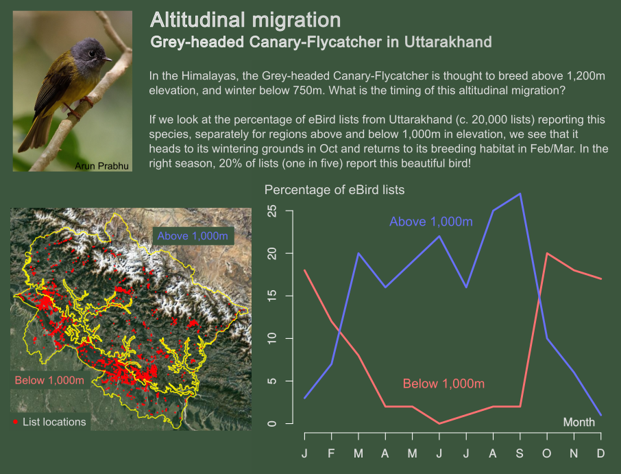 10 million bird observations from India - eBird India
