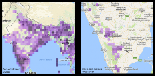 10 million bird observations from India - eBird India