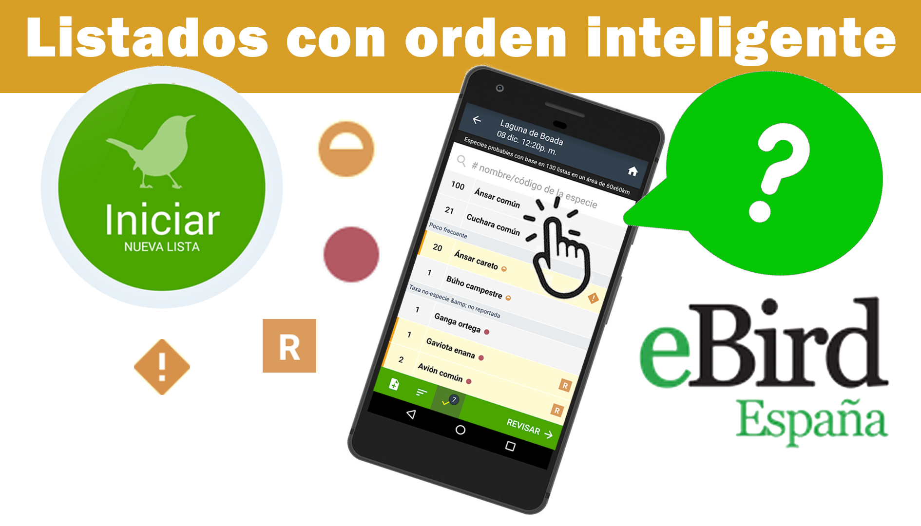 Entendiendo la función "orden inteligente" en la App de eBird - eBird Spain