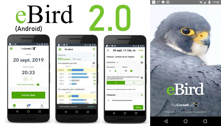 Nueva App eBird móvil 2.0 para Android - Tutorial - eBird España