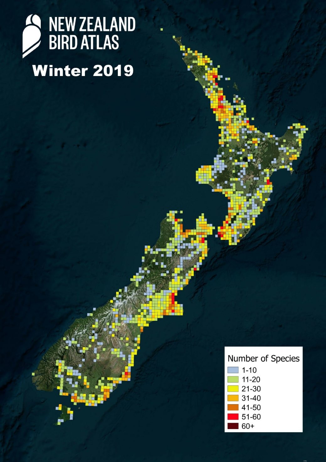 Our first winter season is now complete! - New Zealand Bird Atlas