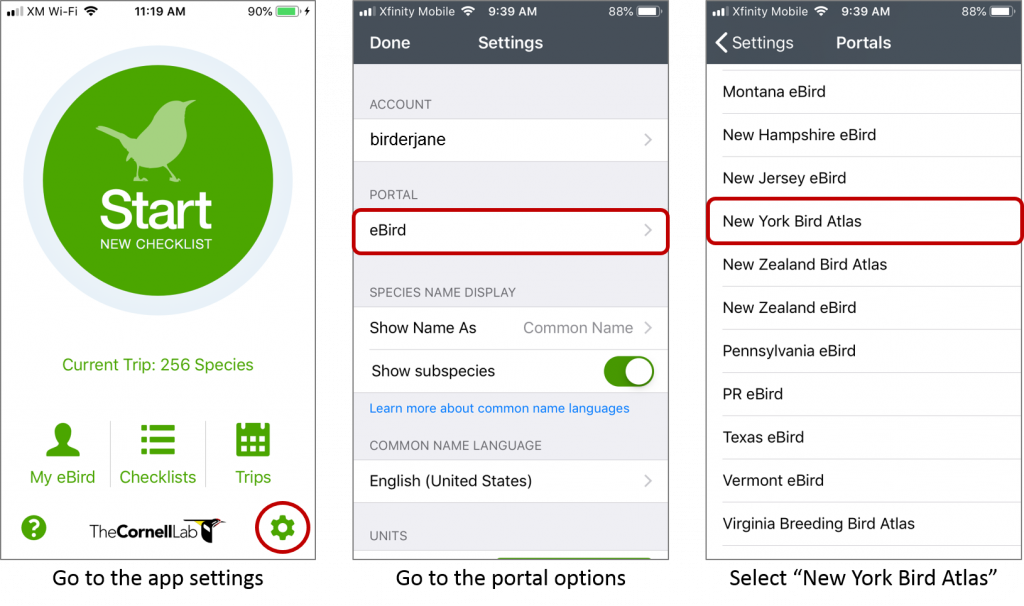 Submitting Data Through the Portal - New York Breeding Bird Atlas