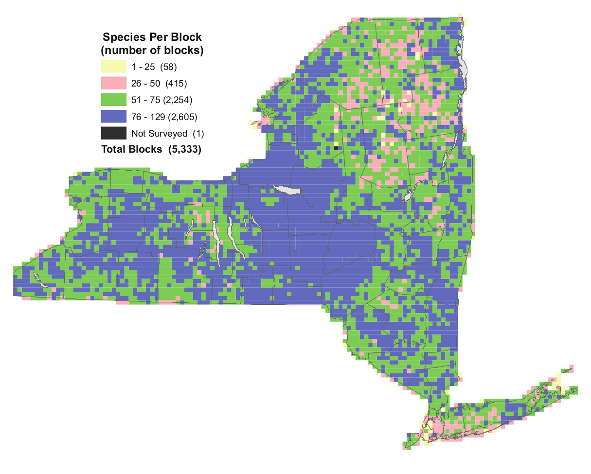 History & Goals - New York Breeding Bird Atlas