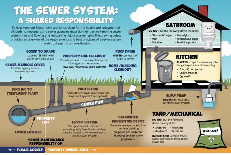Line Condition Poor Slope Negative Slope Low Area / Belly Roots Line ...