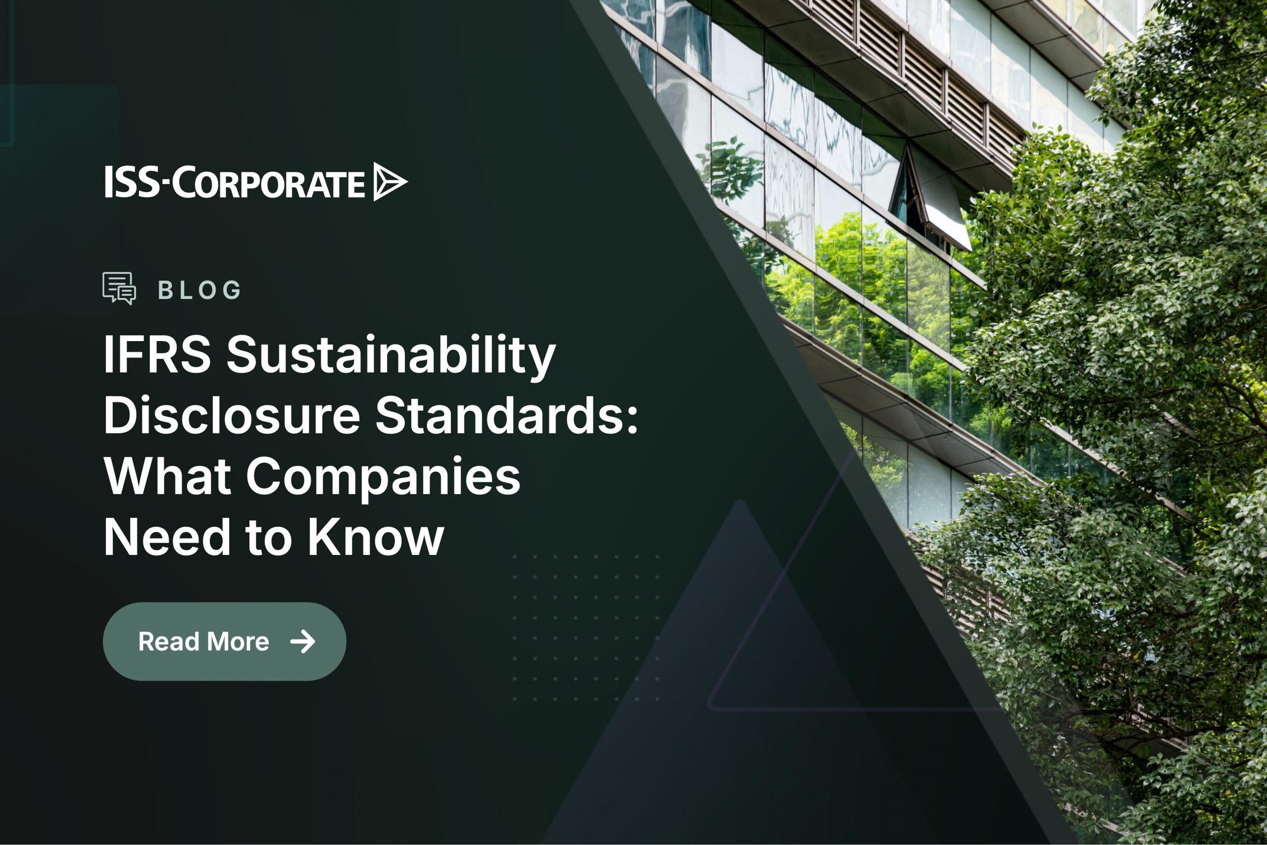 IFRS Sustainability Disclosure Standards: What Companies Need to Know
