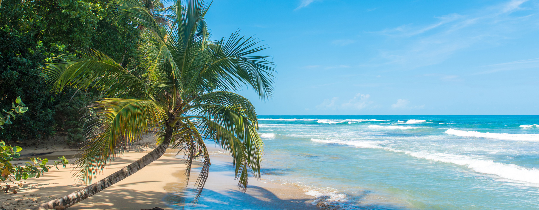 Best Vacation Package Deals To El Coco | itravel2000.com