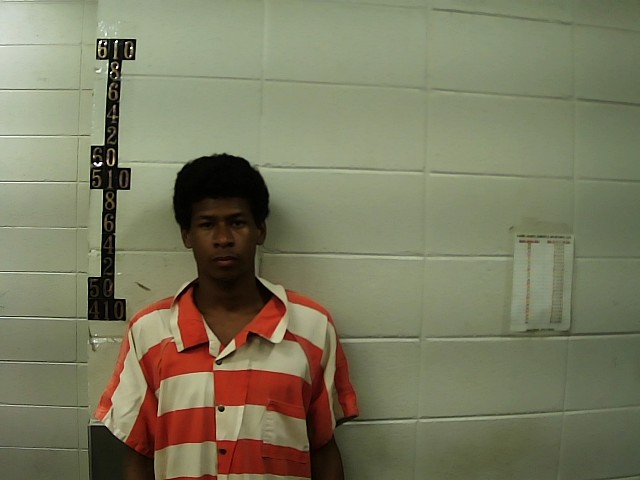 Inmate Roster | Jasper SO