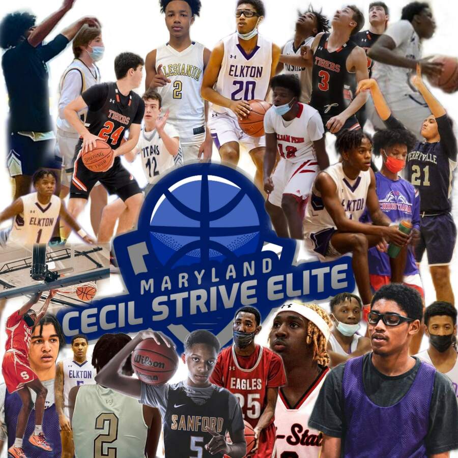 Cecil Strive Hoops
