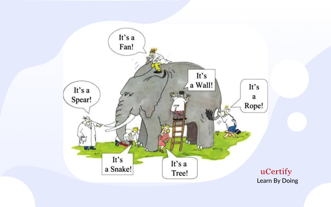 Whole Elephant: Unified Experiential Learning