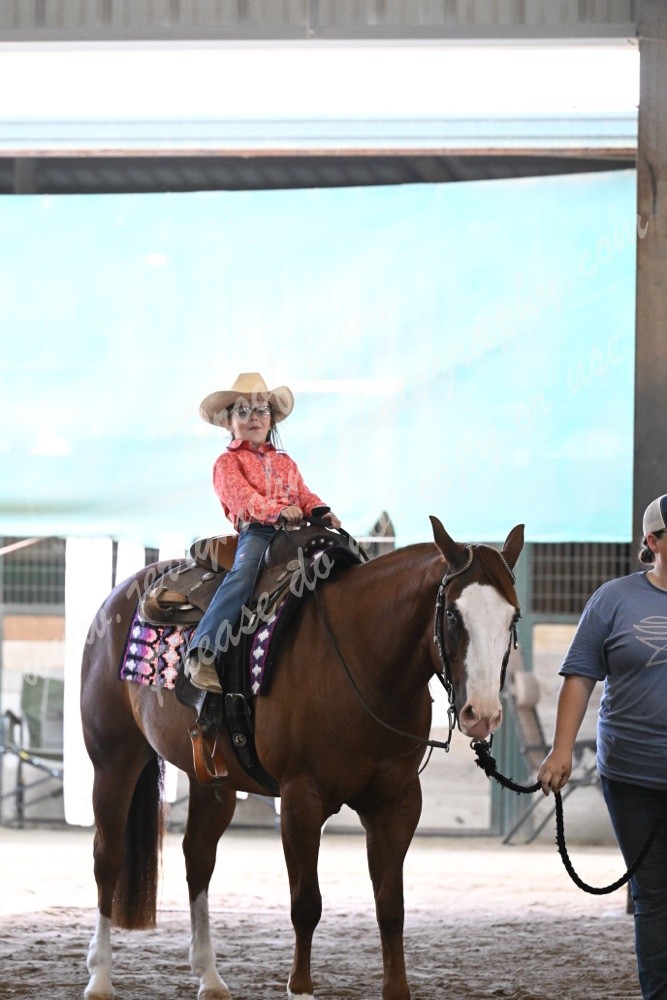 Heritage Classic Reining - Horse Show Galleries - 2024 Horse Shows ...