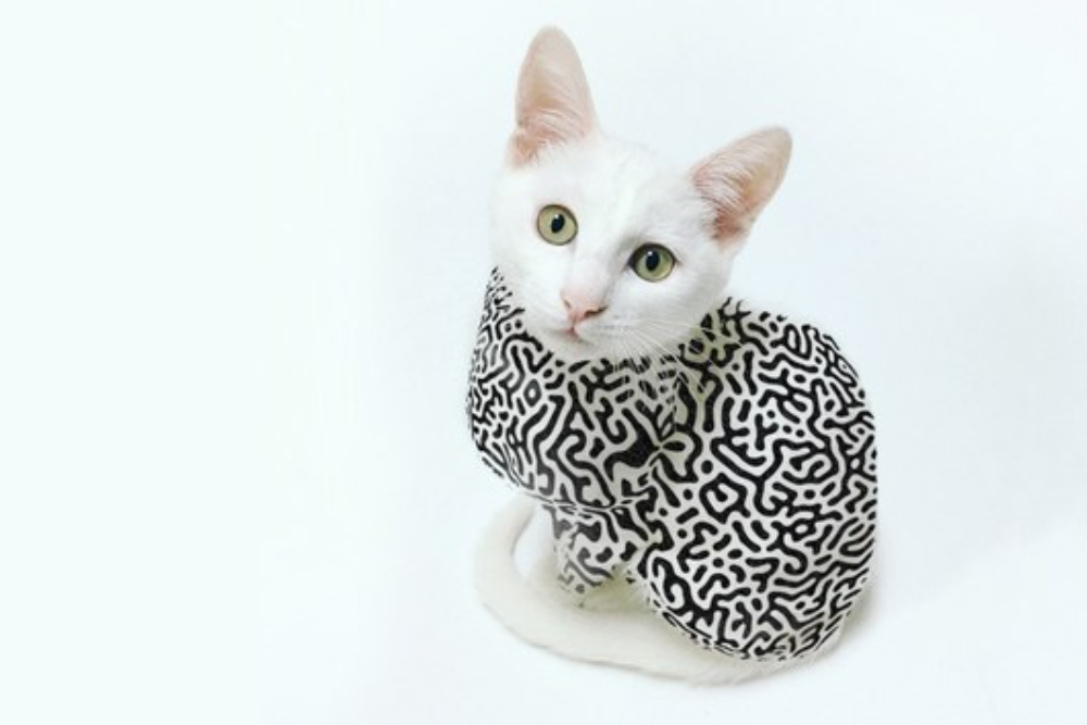 New Fur for the Quantum Cat. Quantum Materials: Entanglement of Many Atoms Discovered for the ...