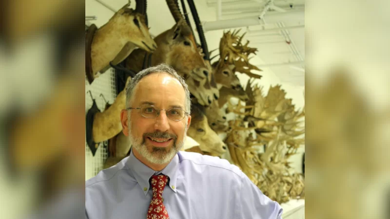 Study explores Gavin de Beer's enduring concepts in vertebrate skull ...