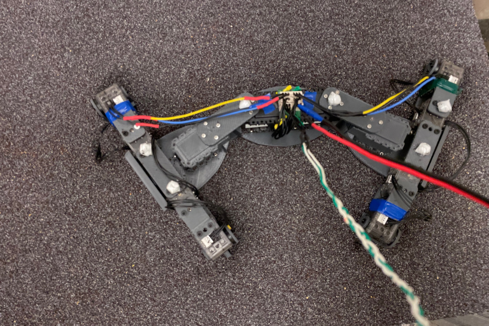 Tiny Limbs and Long Bodies: Coordinating Lizard Locomotion | Current ...