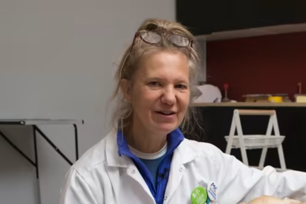 Scent Dogs Detect Coronavirus Reliably From Skin Swabs | Current ...