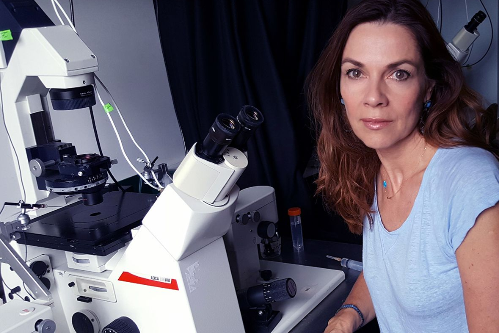 ‘Synthetic’ Embryo with Brain and Beating Heart Grown from Stem Cells ...