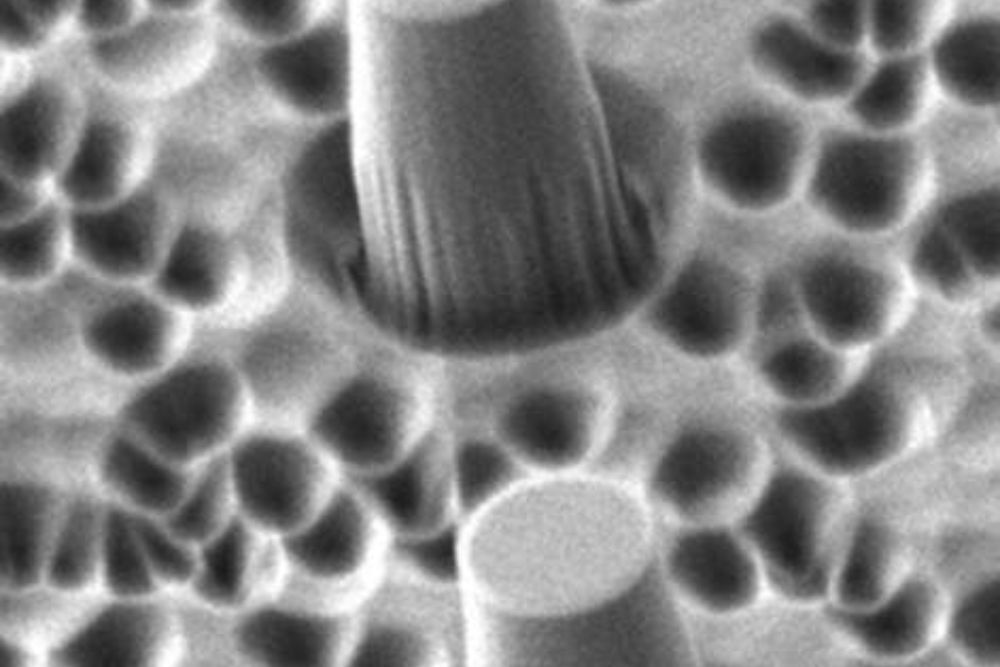 A Molecular Close-Up | Current Science Daily