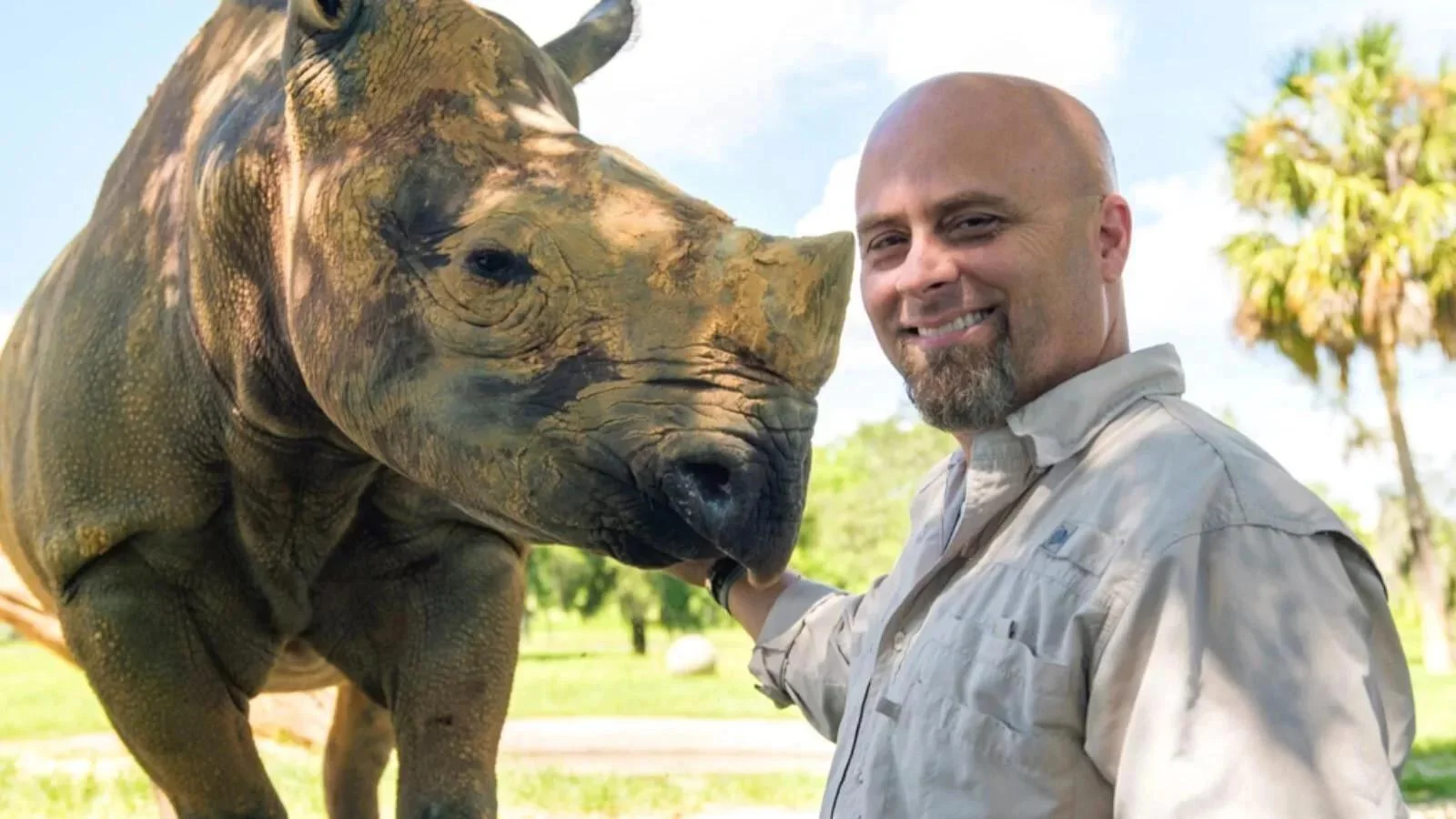 Construction of the first two phases of Zoo Midland to start in 2025 ...