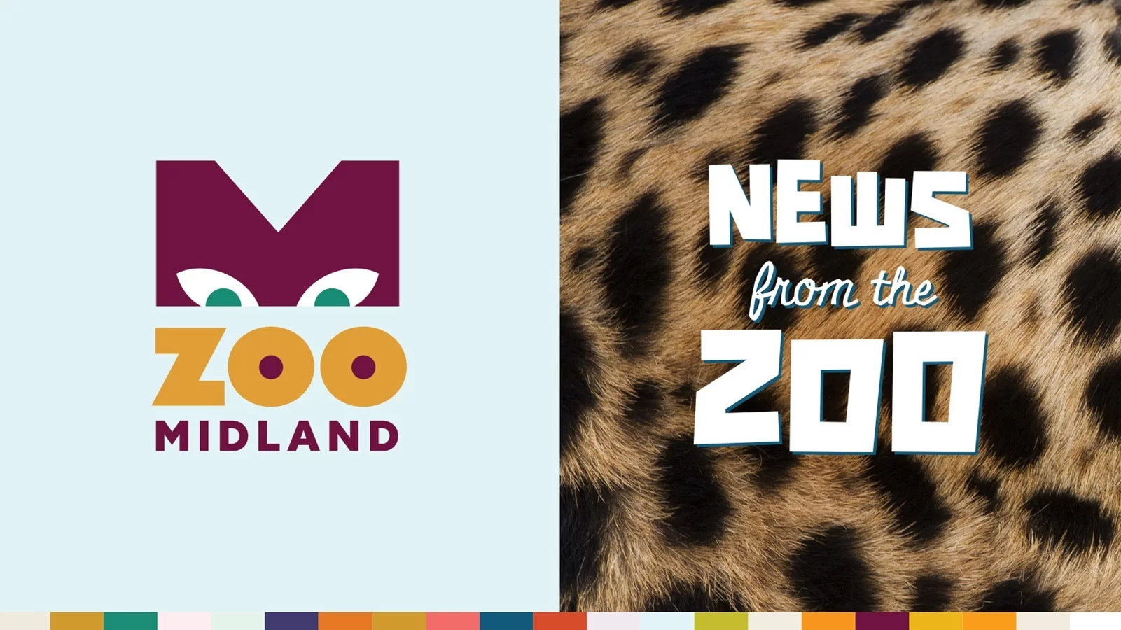 Zoo Midland A Thriving Community Project Takes Shape Midland Times