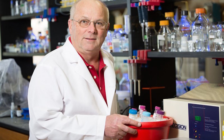 Arkansas researchers make significant poultry discovery | Higher ...