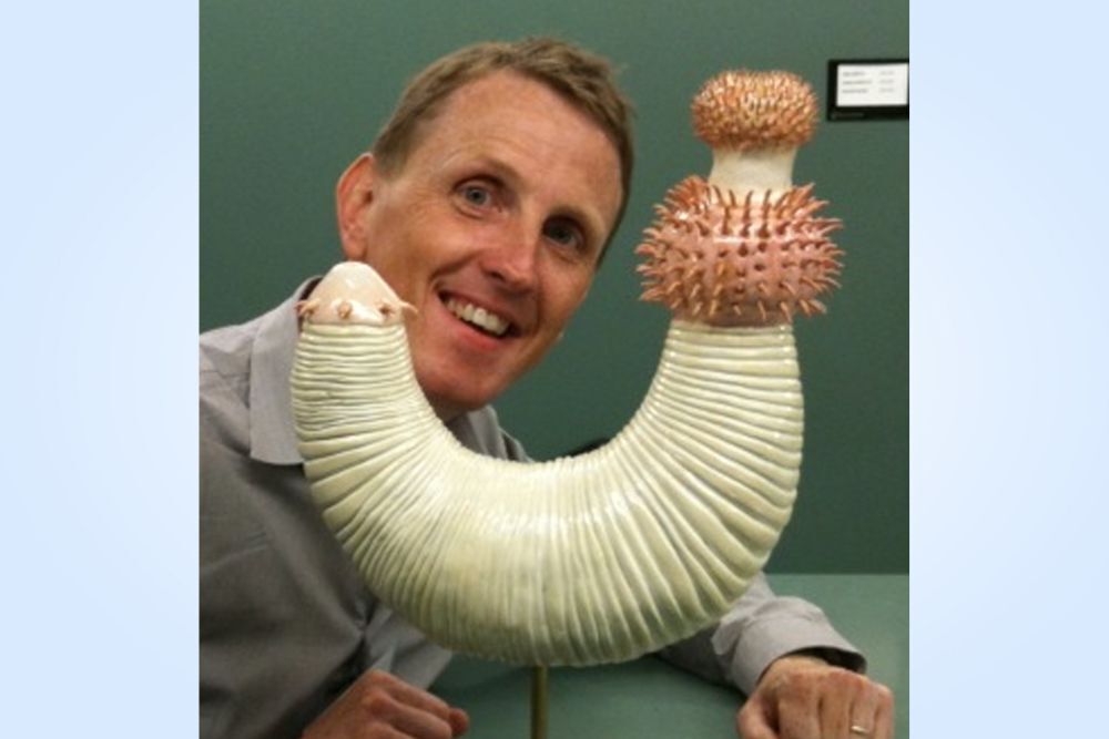 Study Offers New Insights into When Modern Mammals Evolved | Current ...