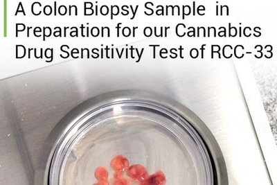 SEDOR PHARMACEUTICALS: Receives FDA Approval for SESQUIENT ...