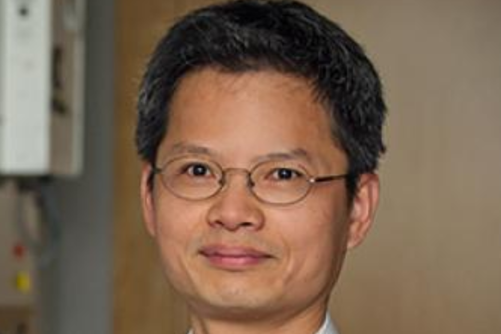 New Long-Necked Dinosaur Helps Rewrite Evolutionary History of ...