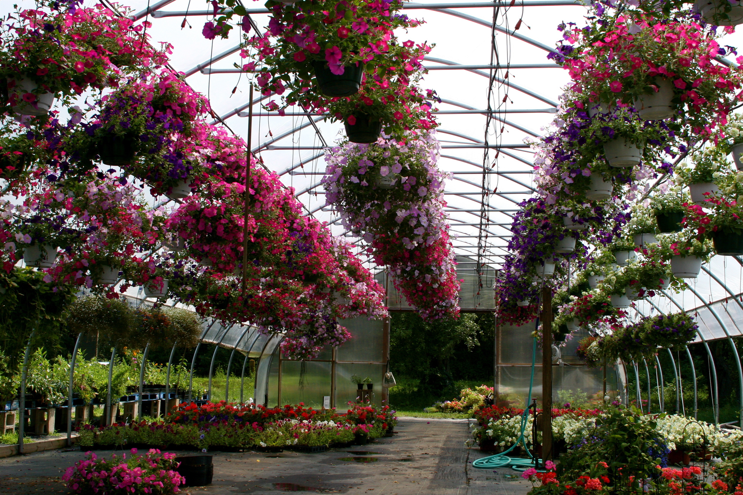 Emerson Creek Spring Market on May 9, 2026 | Business Daily