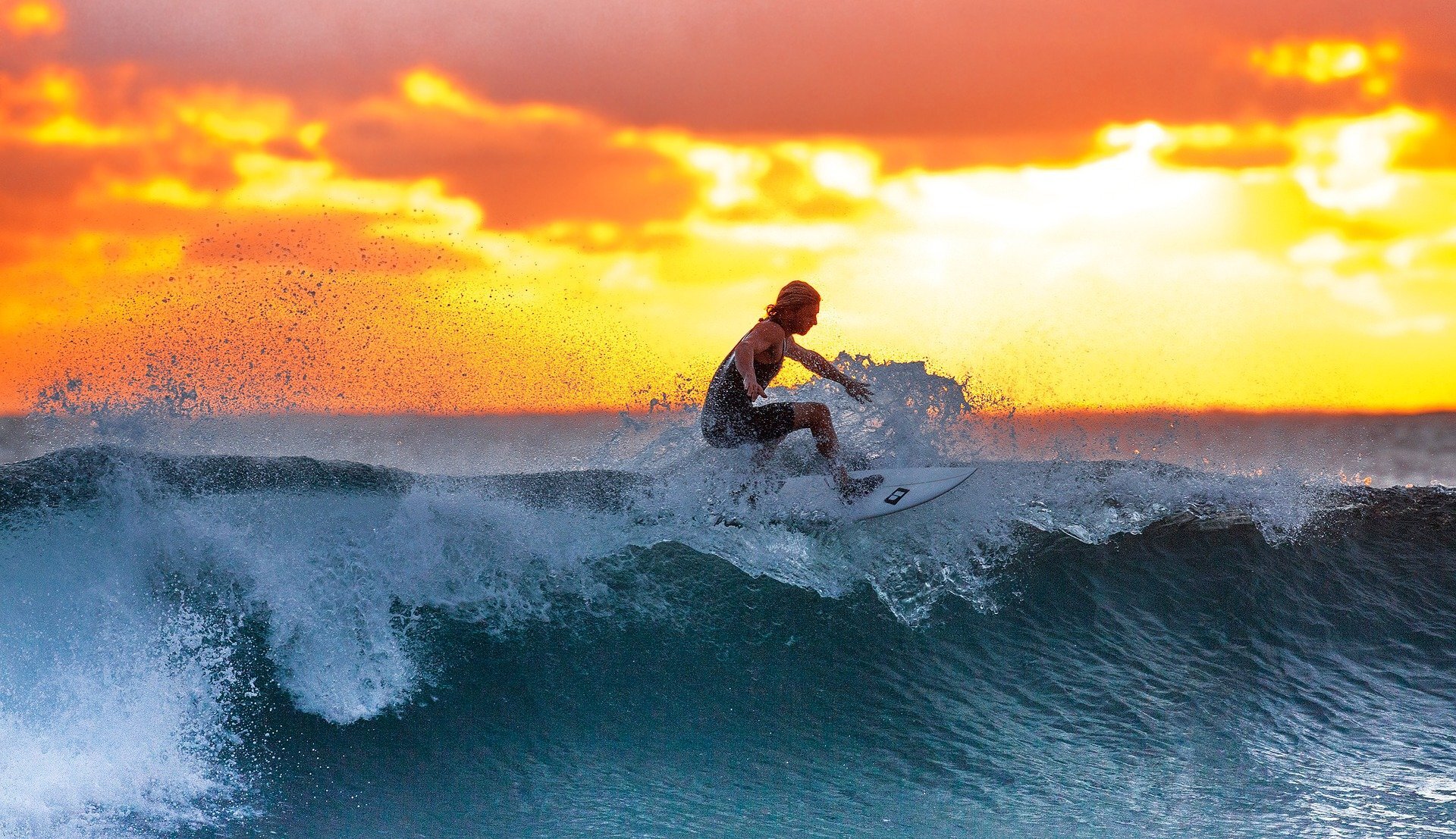 Kona Surf Company Is Taking Bookings Popular Surf Company Is Back kona-surf-company-is-taking-bookings-popular-surf-company-is-back