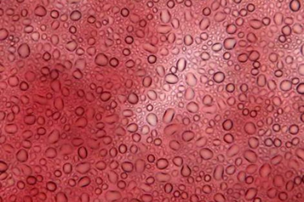 Decades-Old Mystery of Red Blood Cell Production Finally Solved ...