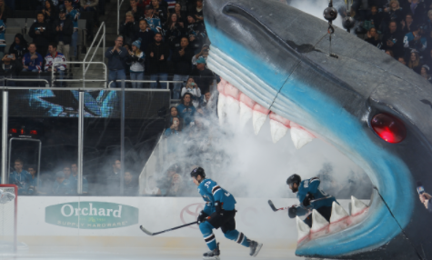 San Jose Sharks sued by former security guard | Legal Newsline