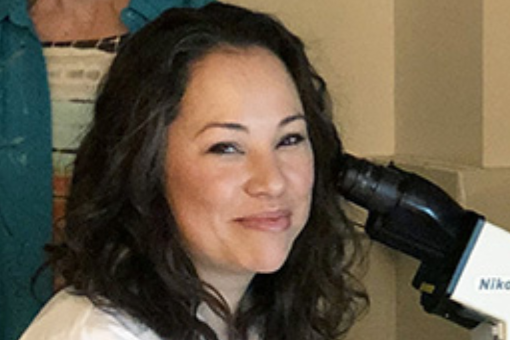 New Study Shows Transmission of Epigenetic Memory Across Multiple ...