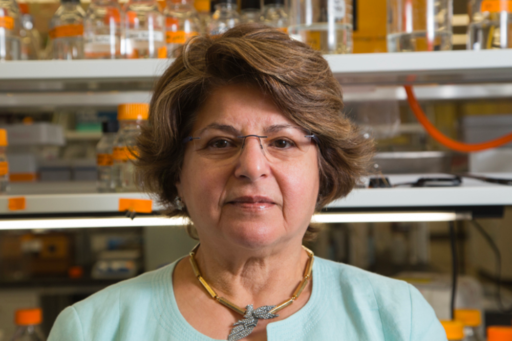 University of Houston Researcher Builds New Model to Examine Usher ...