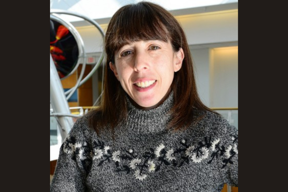 Study: BPA exposure of the placenta could affect fetal brain ...