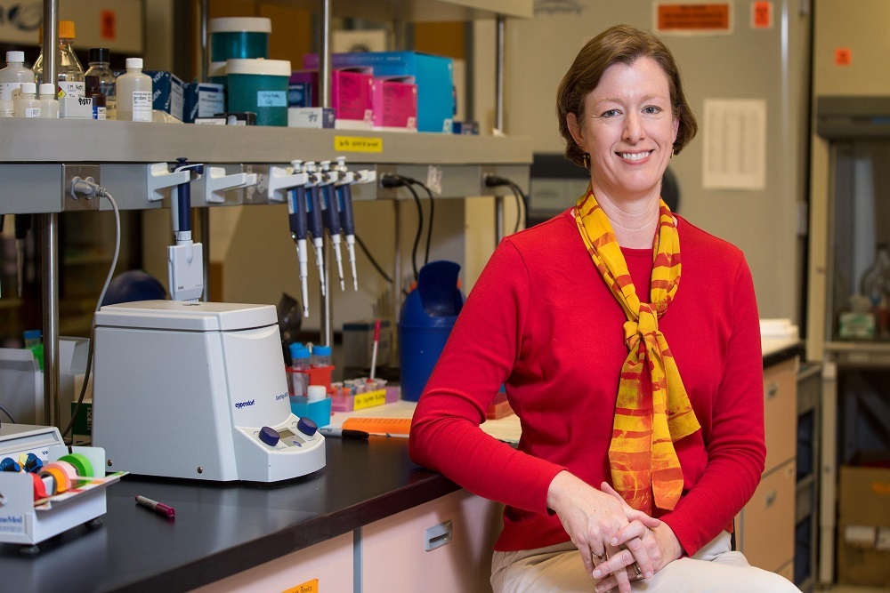 Regents Professor Anne Stone Receives 2022 Guggenheim Fellow Award ...