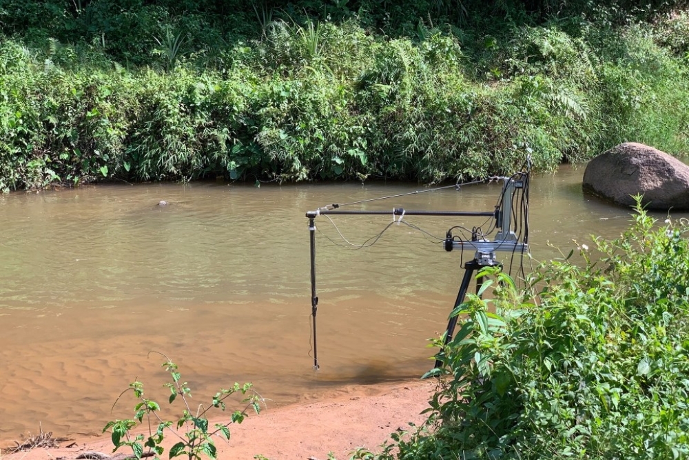 Why Fish Look Down When They Swim | Current Science Daily