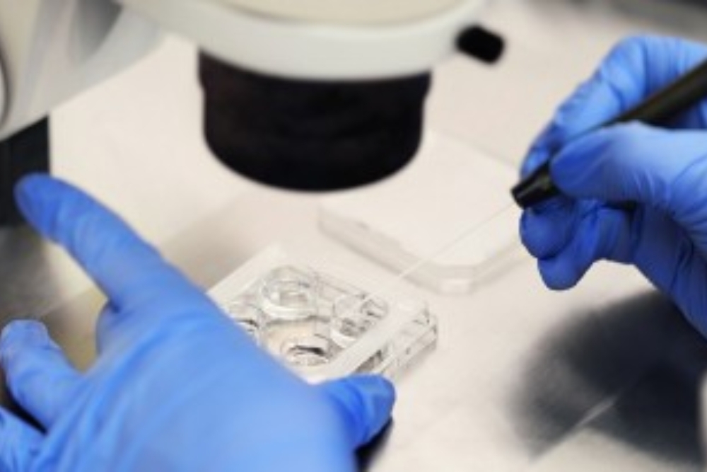 Harnessing AI Technology For IVF Embryo Selection | Current Science Daily