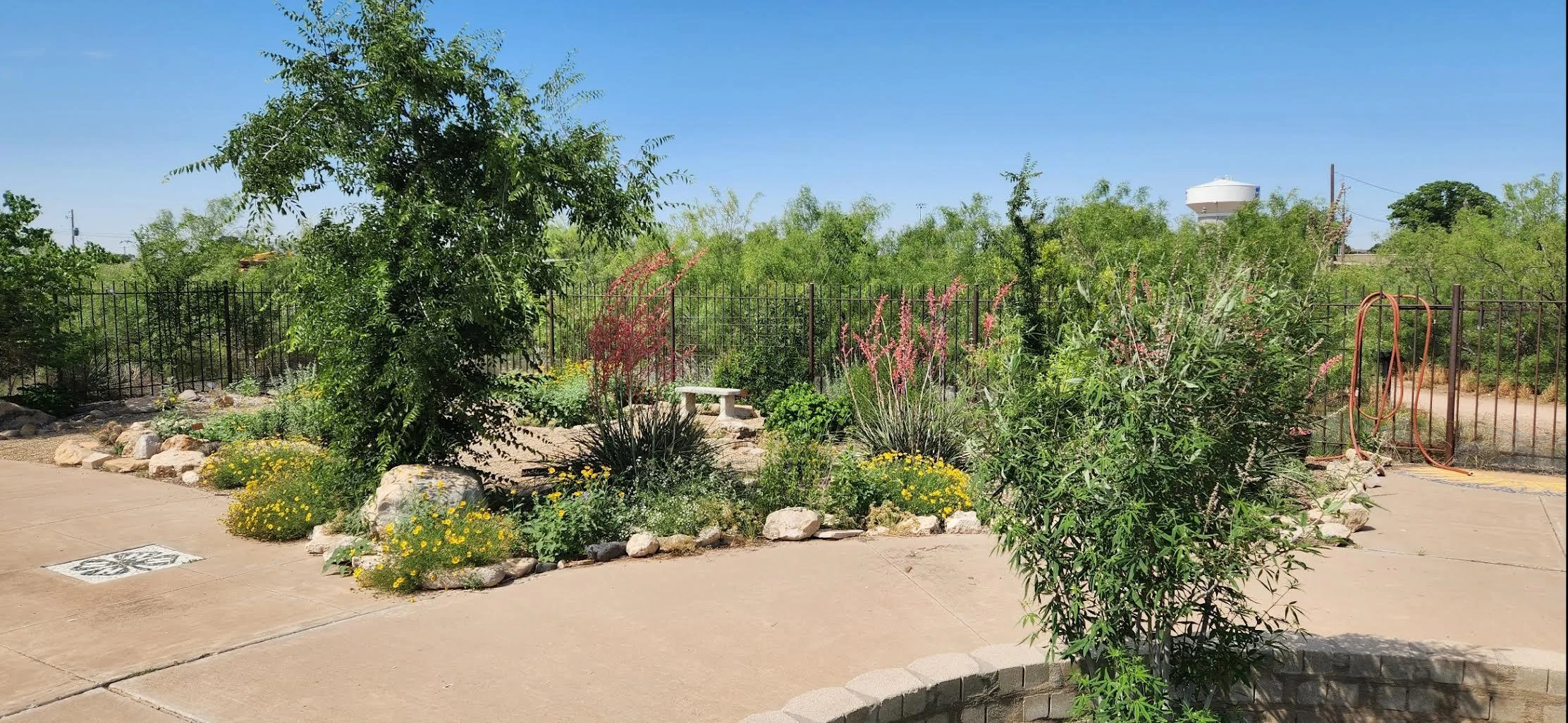 Sibley Nature Center's Education Garden: A flourishing hub of ...