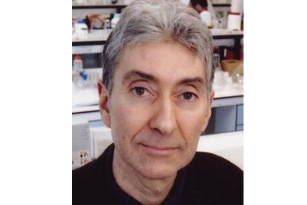 Pioneering Research Using Bacteria Brings Scientists A Step Closer To ...