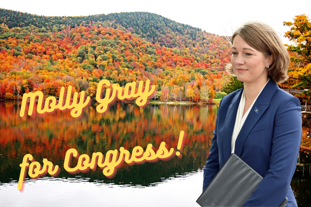 Campaigns Daily