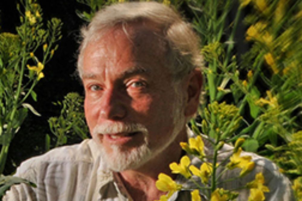 Researchers Propose New Framework for Regulating Engineered Crops ...