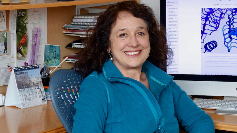 Researchers develop platform to advance research on carbohydrates ...