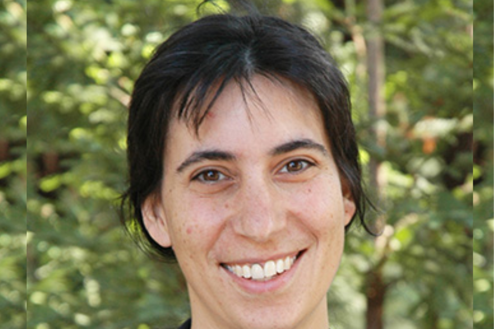 Report Outlines Plans For Major Research Effort On Subduction Zone ...