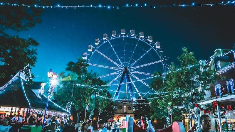 The Official Bluebonnet Festival of Texas on Apr 11, 2026 | Business Daily
