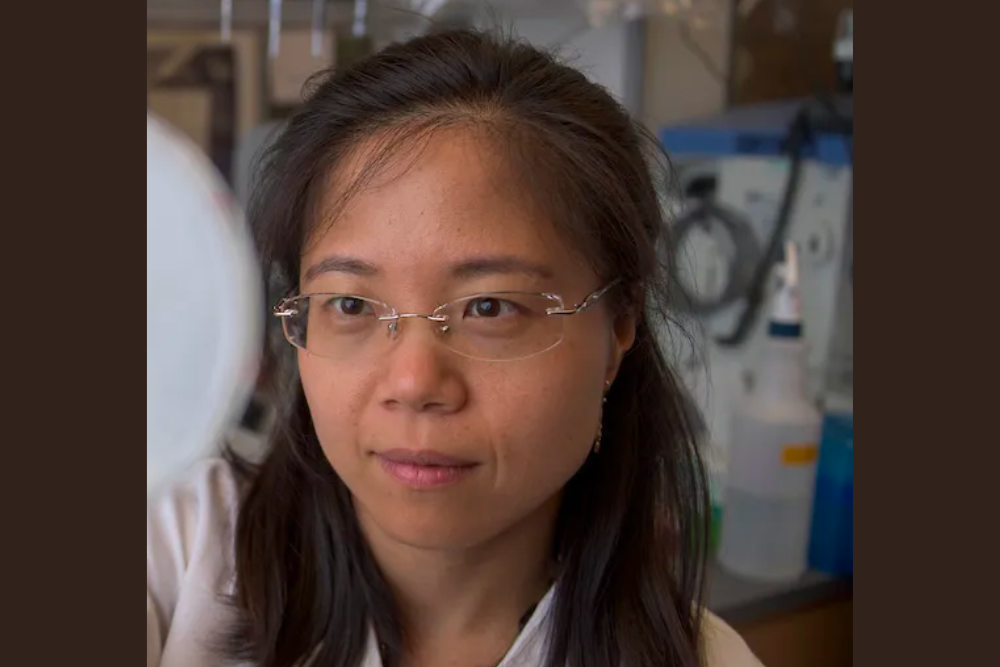 Engineered Proteins: A Future Treatment Option For COVID-19 | Current ...