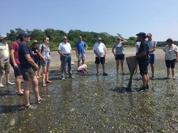 Tiny But mighty: Sunset Beach Aquaculture Preserves a Marine Treasure ...