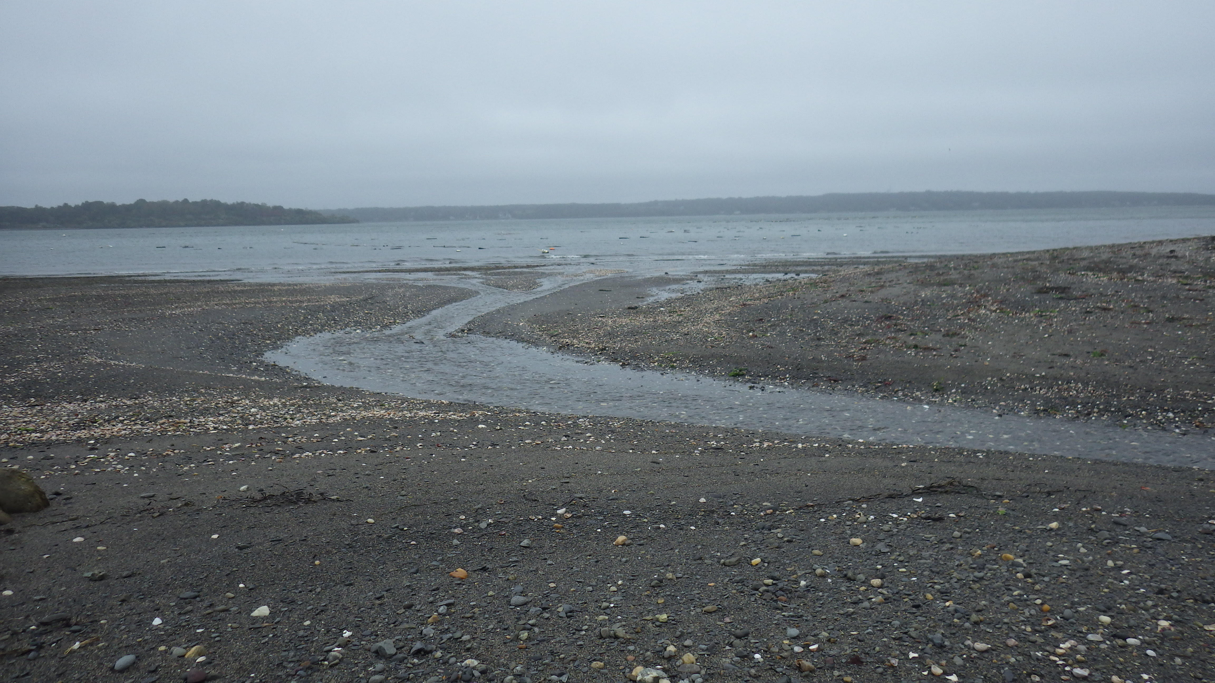 Tiny But mighty: Sunset Beach Aquaculture Preserves a Marine Treasure ...